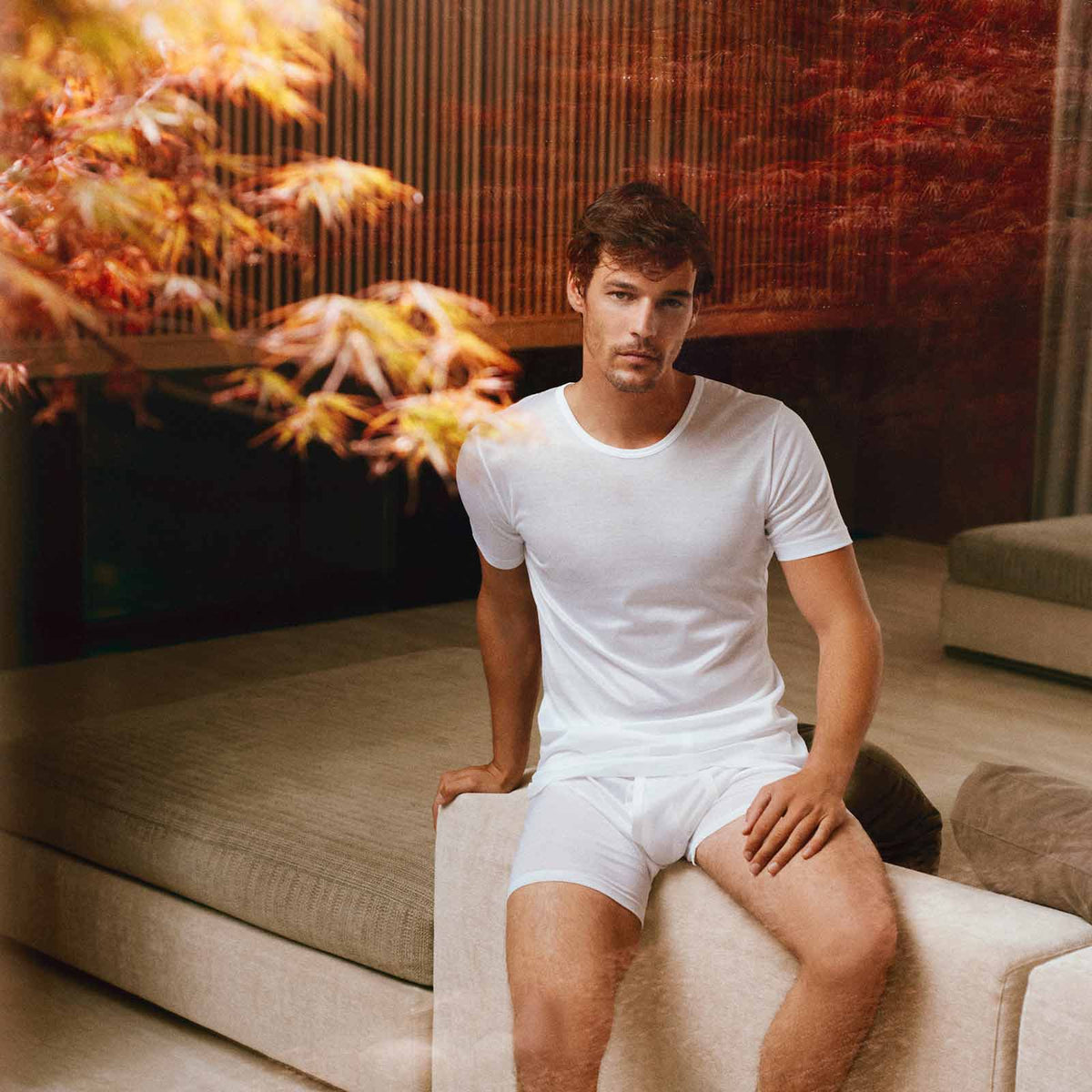 252 ROYAL CLASSIC von Zimmerli: Herren-Unterwäsche bei michelangelo – michelangelo intimo